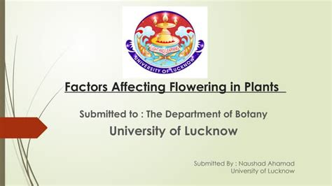 Factor Affecting In Flowering In Plantpptx