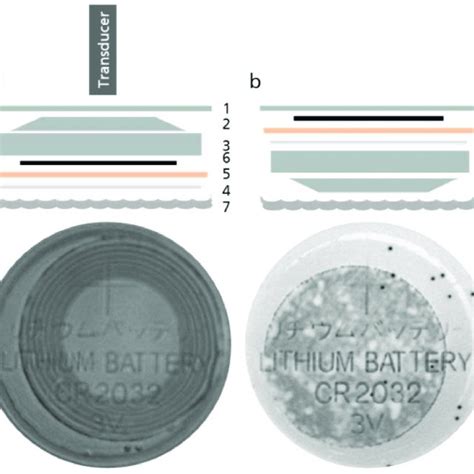 Structure Of The Coin Battery Components Download Scientific Diagram