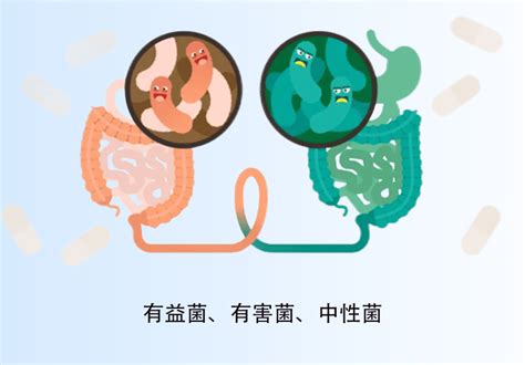 福慧科普 肠道菌群原来可以影响到这么多疾病！ 广东福慧医学科技有限公司