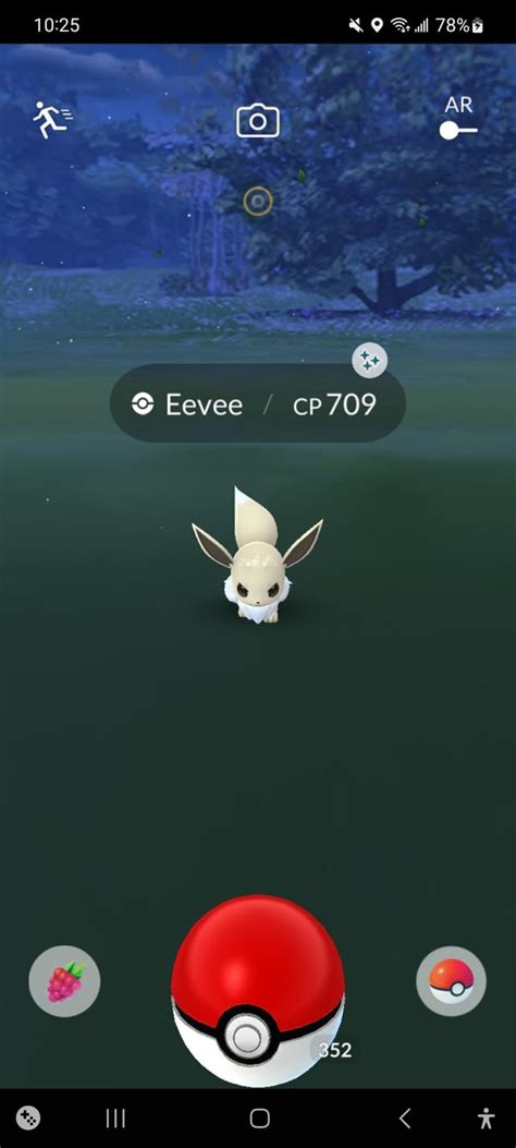 Another Shiny Eevee Rpokemongo