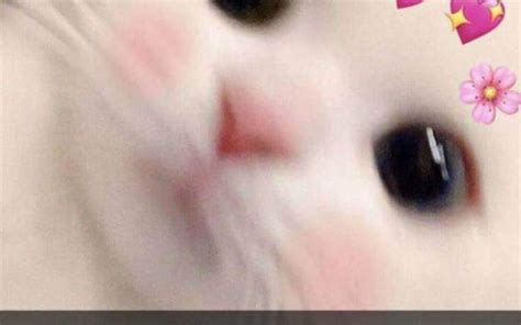 Introvert Extrovert Or Ambivert Quiz Quotev