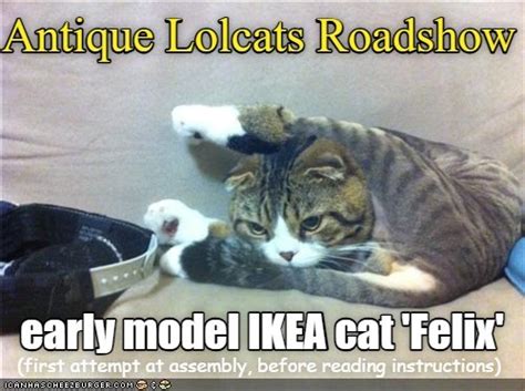 Antique Lolcats Roadshow Lolcats Lol Cat Memes Funny Cats Funny Cat Pictures With