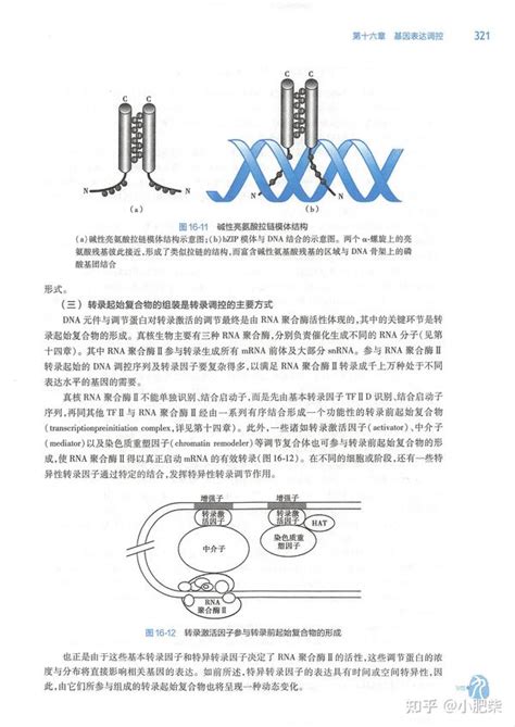 生化课本带读 第十六章 基因表达调控 知乎