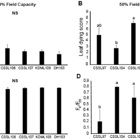response to drought stress in chromosome segment substitution lines