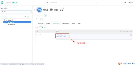 Apache Atlas精讲：由浅入深，从概念，原理，使用，到自定义数据模型，生成血缘关系，带你玩转atlas 编程共享之家