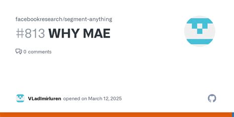 Why Mae · Issue 813 · Facebookresearchsegment Anything · Github