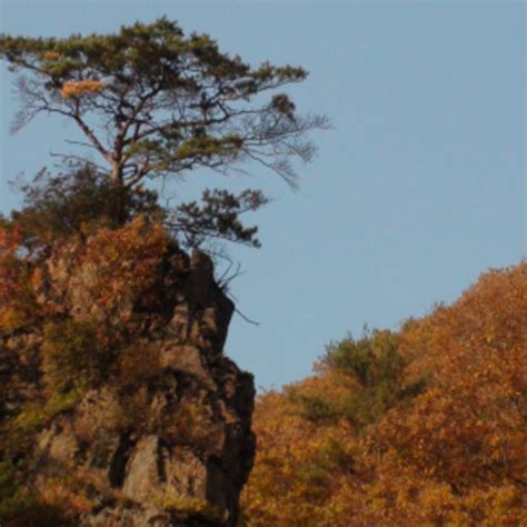 Xiuling Li Dr Dalian Institute Of Chemical Physics Dalian Dicp