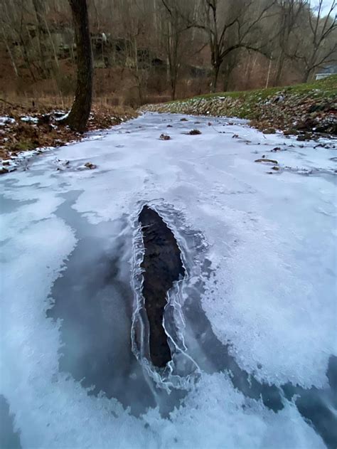 She Cold Rmildlyvagina