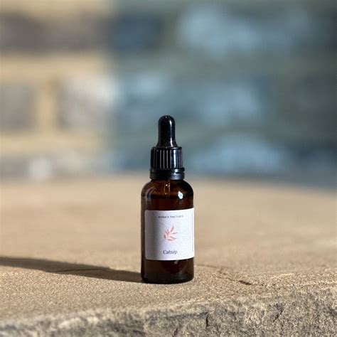 Catnip Tincture Extraction Reena