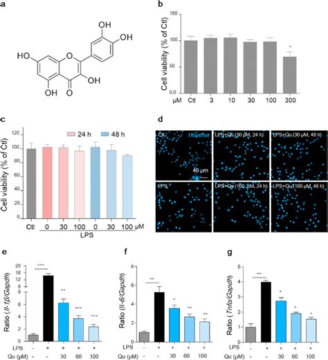 Qu Suppresses The Inflammatory Activation In Microglial Bv2 Cells A