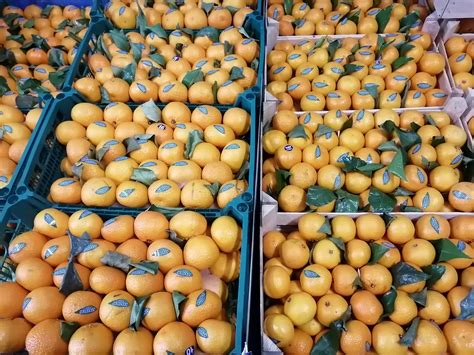 Условия доставки фруктов в офис