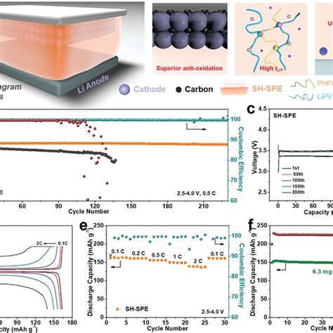 Investigation Of Li Plating‐stripping Test Of Li Li Symmetric Lithium Download Scientific