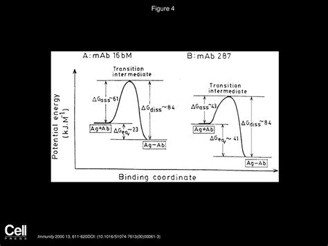 Maturation Of An Antibody Response Is Governed By Modulations In Flexibility Of The Antigen