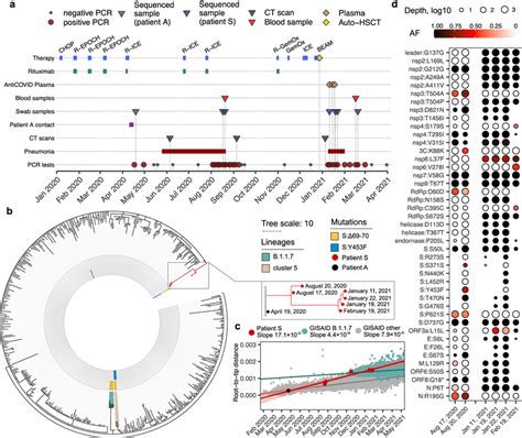 Intrahost Evolution Of Sars Cov 2 In Patient S A The Timeline Of