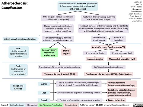 Atherosclerosis Pathogenesis
