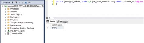 How To Issue Ssl Certificate And Configure Microsoft Sql Server To Use