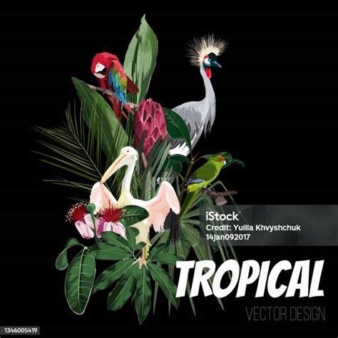 파라다이스 앵무새 크레인 이국적인 잎과 꽃펠리캔 새 카드 템플릿 컴포지션 상세한 디자인 일러스트레이션 발렌타인 결혼식 포스터 티셔츠 프린트 파티 초대 벡터에 대한 스톡 벡터