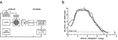 Visually Evoked Potential Vep Recording In Humans A Schematic Of Download Scientific