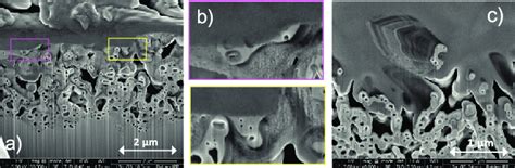 A Cross Section Of A Tungsten Nanostructure Sample After Asdex Upgrade Download Scientific