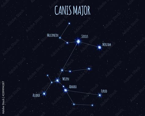 Canis Majoris