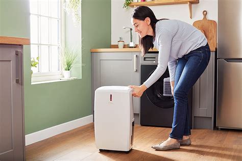 Buy Dimplex Everdri 20 Litre Dehumidifier With Timer Online