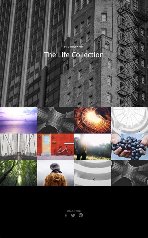 Le Module Galerie Divi Woofrance Dépannage Et Support Wordpress Woocommerce