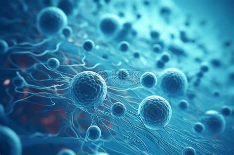 细胞与细胞壁图片素材 正版创意图片600187026 摄图网