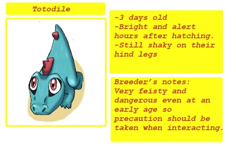 Totadile By Kayanne21 On Deviantart