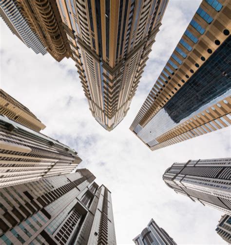 About Us Pedar Holding