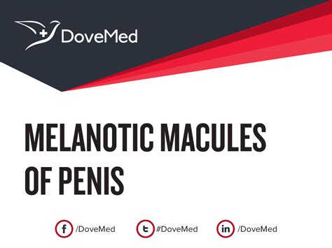 Melanotic Macules Of Penis