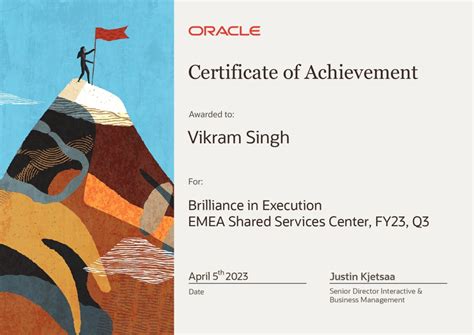 Q3 Brilliance In Execution Award