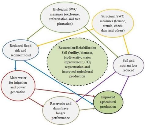 Conceptual Framework Demonstrating Implication Of Swc Measures In