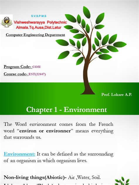 chapter 1 environment pdf