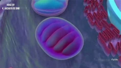 Cell Art Integrated Projects And Online Educational Video By Fyule