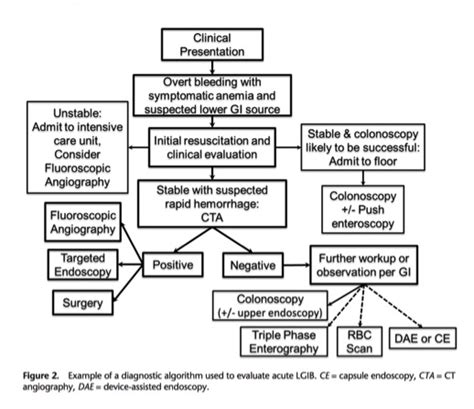 Small Bowel GI Bleed Causes And Detection Pearls Educational Tools CT Scanning CT
