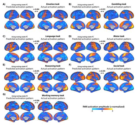 Activity Flow Over Resting State Networks Shapes Cognitive Task Activations Nature Neuroscience
