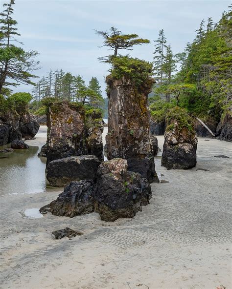 Vancouver Island Bucket Vancouver Island Bucket List