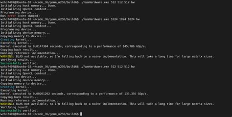 Mismatch Result · Issue 27 · Spclgemmhls · Github