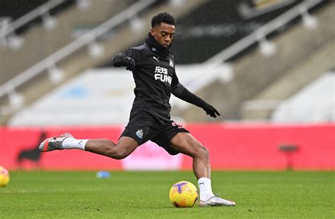 Newcastle Confirm Joe Willock Injury Boost