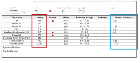 High Estradiol Level Whats The Reason And Should I Worry R Moreplatesmoredates