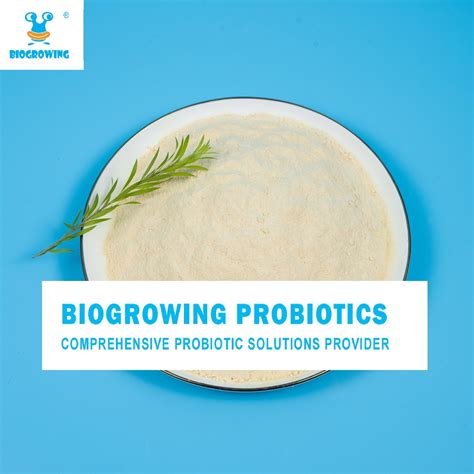 Probiotic Powder Lactococcus Lactis Subsp Lactis With 200 Billion Cfu