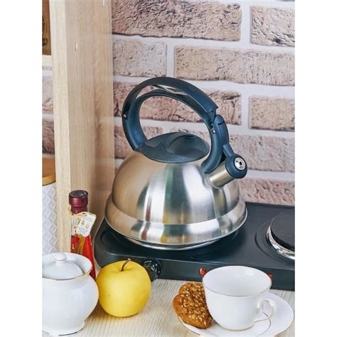 Чайник нержавеющая сталь 3 л со свистком зеркальный Катунь индукция металлик в Старом