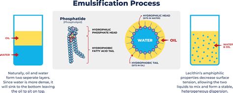 Types Of Lecithin Austrade Inc