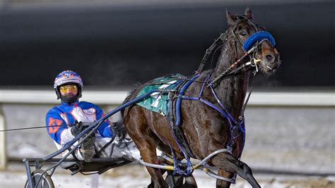 Shark Week Chomps Again For 16th Straight Harnesslink