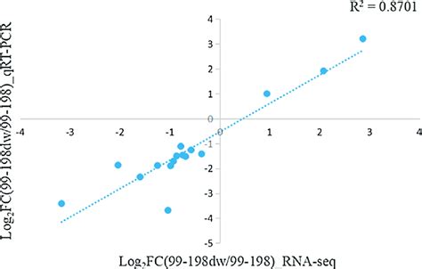 Correlation Analysis Of Gene Expression Pattern By Rna Seq And Qrt Pcr Download Scientific