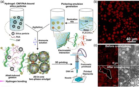 Multiphase Systems Rojas Group