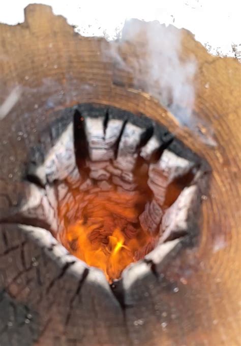 Fire Log Artofit