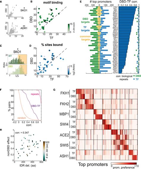 Complementary Strategies For Directing In Vivo Transcription Factor