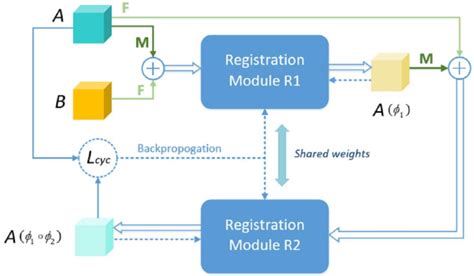 【论文笔记】cyclemorph：使用循环一致性的2d3d多尺度微分同胚图像配准模型 程序员大本营