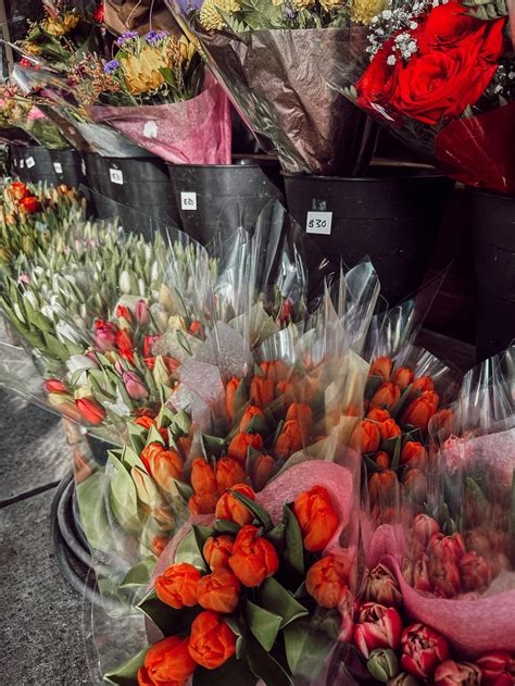 Display Circle Photos Download The Best Free Display Circle Stock